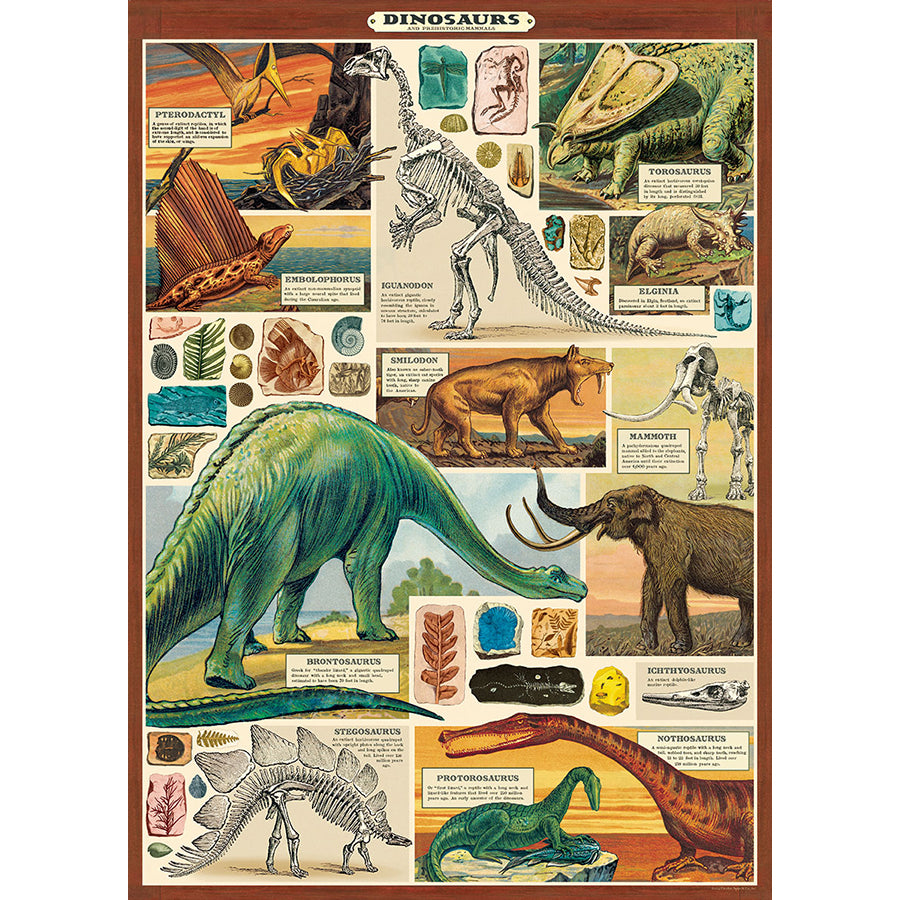 Dinosaur Chart – Odd Bird Gifts